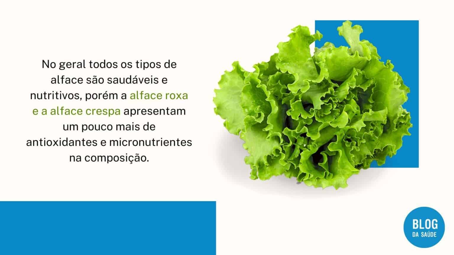 Tipos De Alface E Como Podem Ajudar No Emagrecimento - Blog Da Saúde