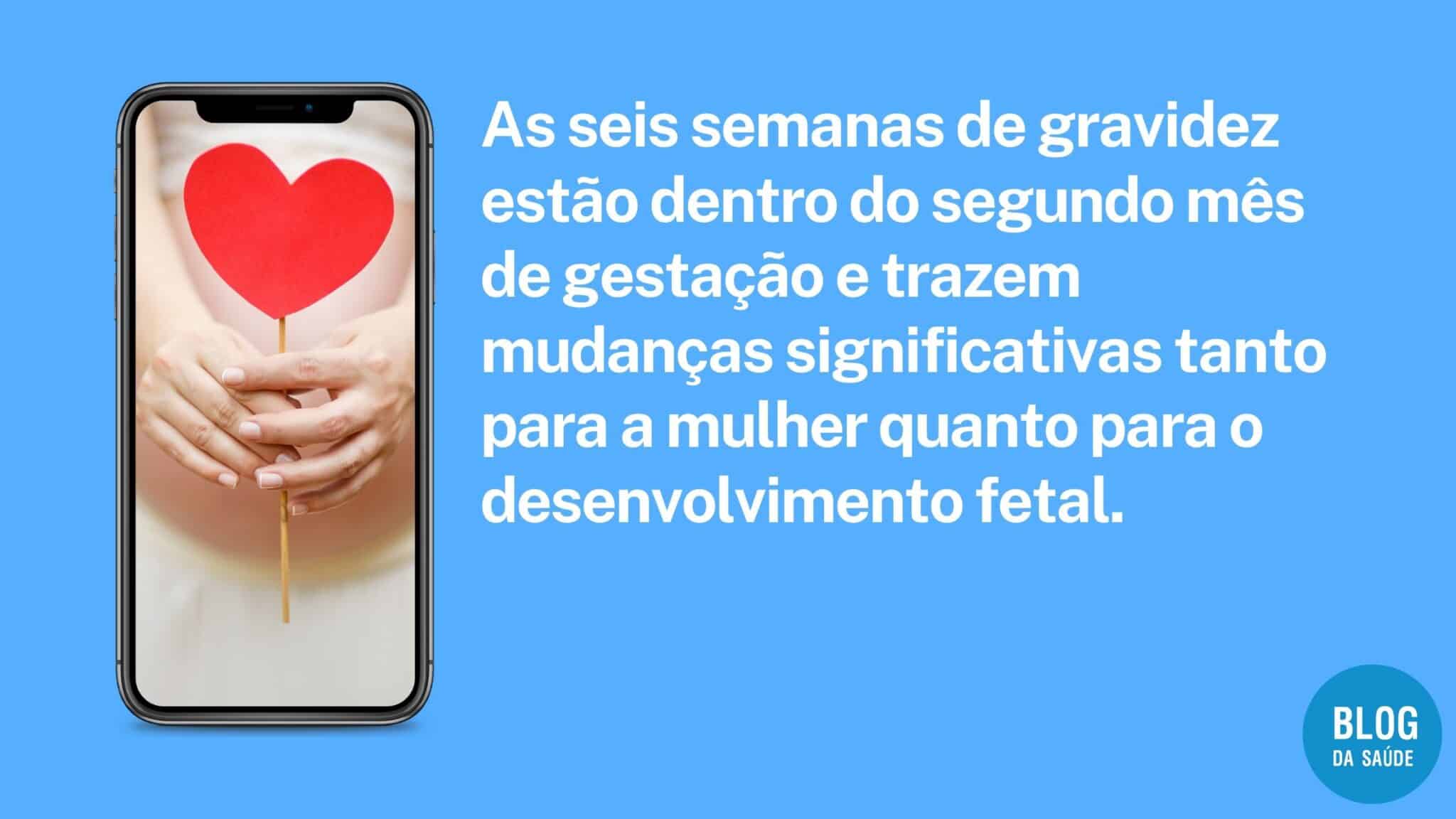 6 Semanas São Quantos Meses? - Blog Da Saúde