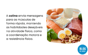 Colina (Vitamina B8): O Que é E Como Usar - Blog Da Saúde