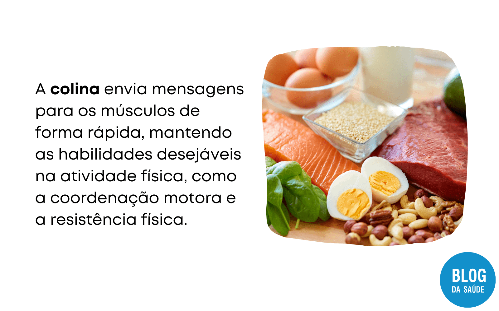 Colina (Vitamina B8): O Que é E Como Usar - Blog Da Saúde
