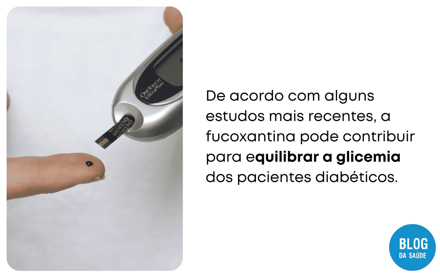Fucoxantina: O Que é, Para Que Serve, Benefícios E Como Tomar - Blog Da ...