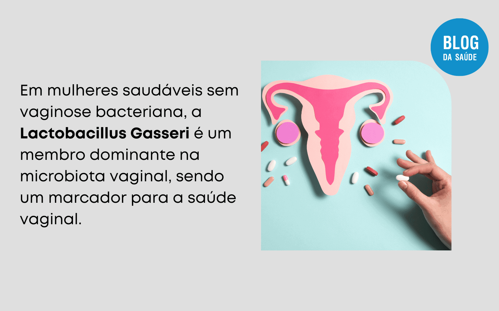 Lactobacillus Gasseri Efeitos Colaterais - RETOEDU