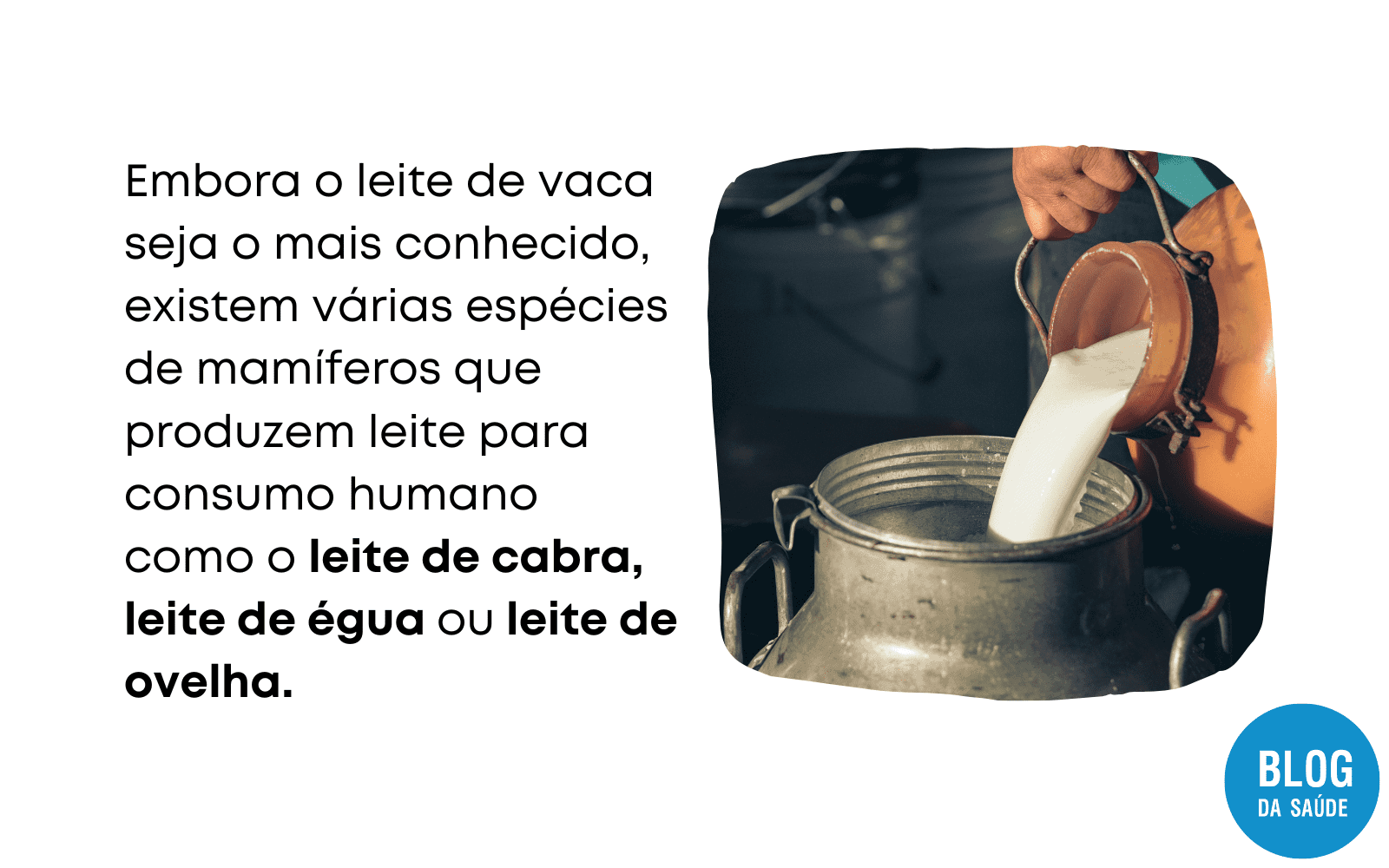 Leite Desnatado Engorda? Entenda Se Esta é A Melhor Opção Para ...