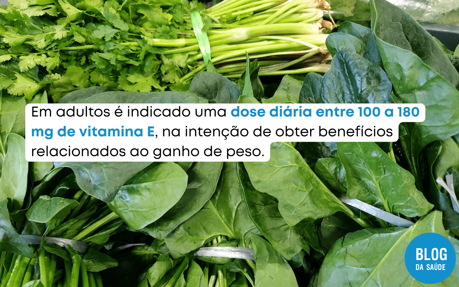 Vitamina Para Engordar: 5 Opções Para Aumento Saudável De Peso - Blog ...