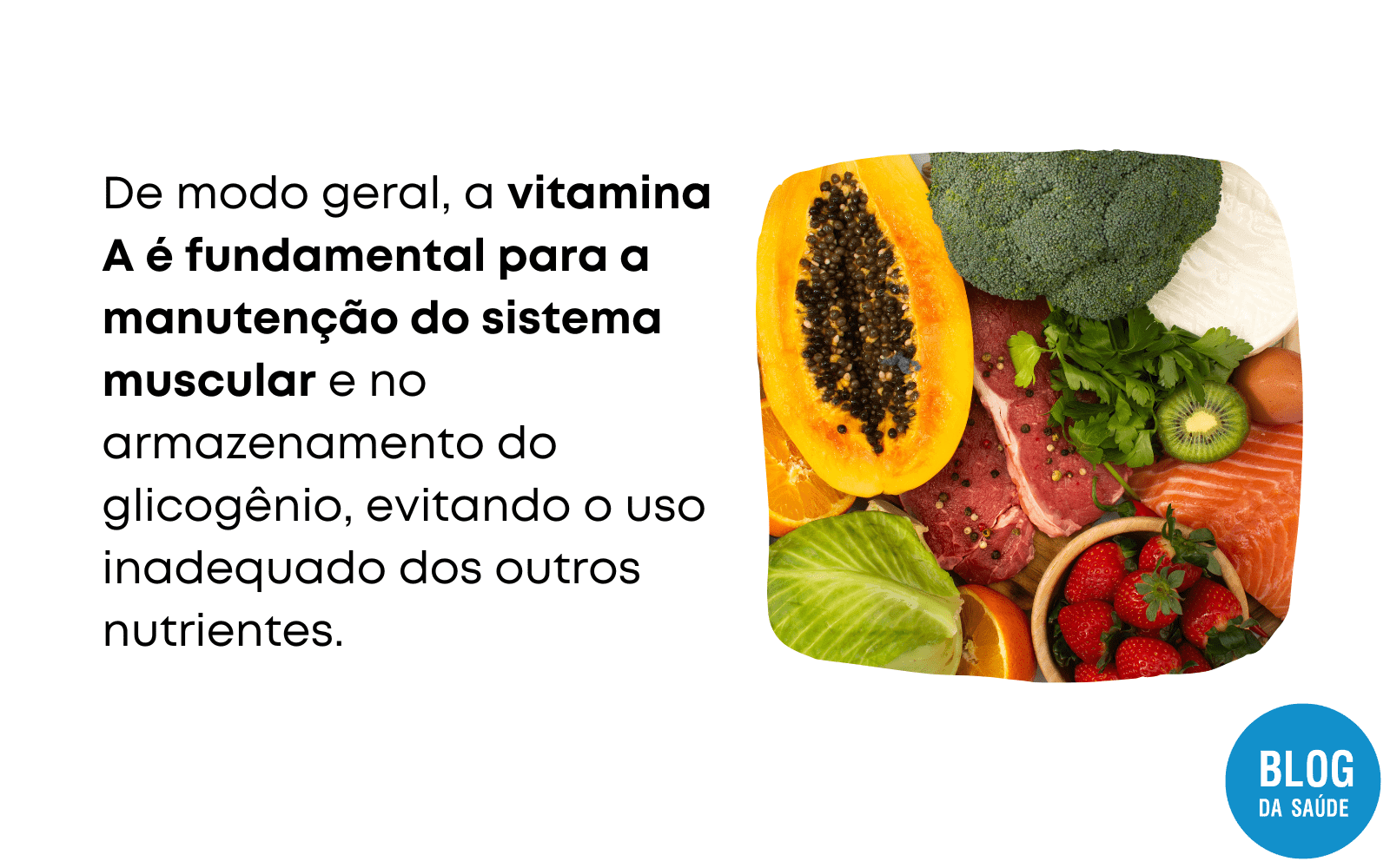 Vitamina Para Engordar: 5 Opções Para Aumento Saudável De Peso - Blog ...