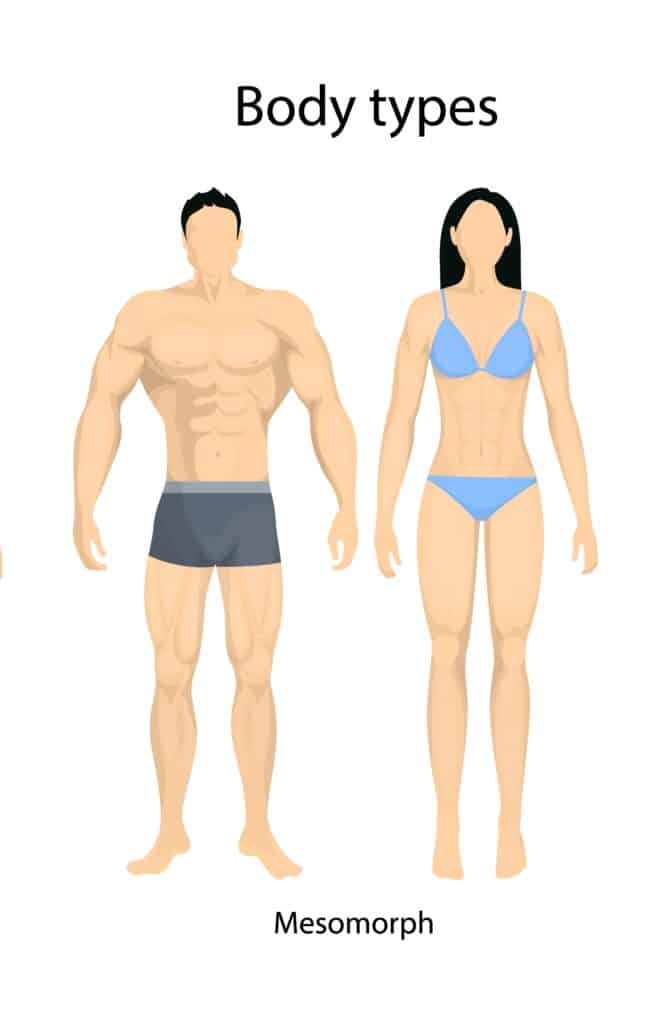 Biotipos Corporais: Mesomorfo - Blog Da Saúde