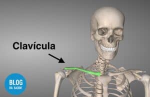 Dor Na Clavícula - Causas, Sintomas E Tratamentos - Blog Da Saúde