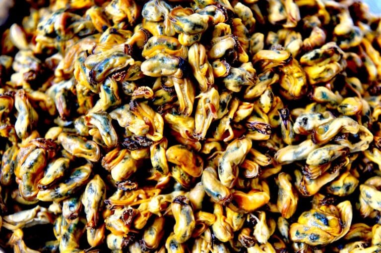 Pangastrite Enantematosa Leve - Blog Da Saúde